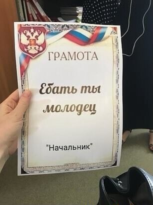ГРАМОТА ёбать ты 'молодец "начальник" - АйДаПрикол
